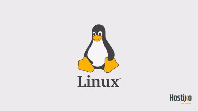 Adım Adım Linux Cat Komutu Kullanımı | 2021 | Hostixo.com