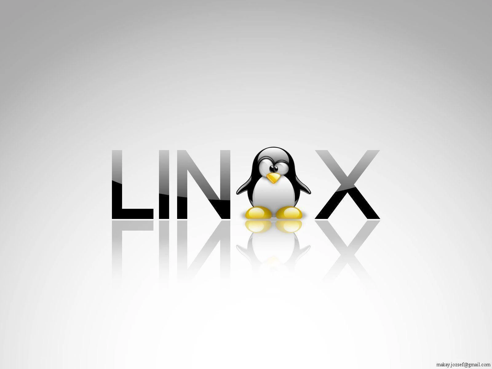 Linux Nedir? Linux İşletim Sisteminin En İyi 10 Özelliği | Hostixo Blog